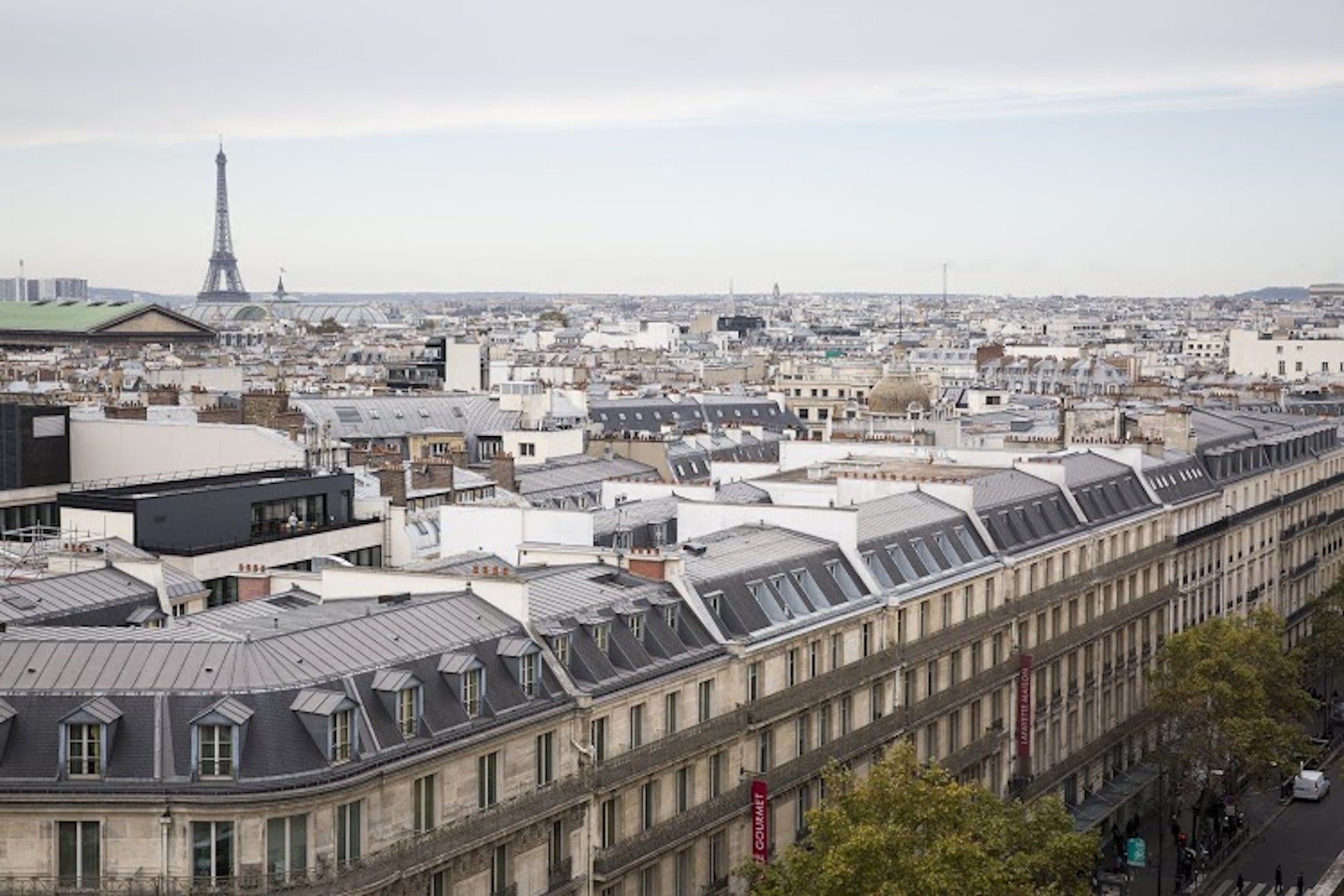 Paris could soon ban Airbnbs in these districts to thwart the housing ...